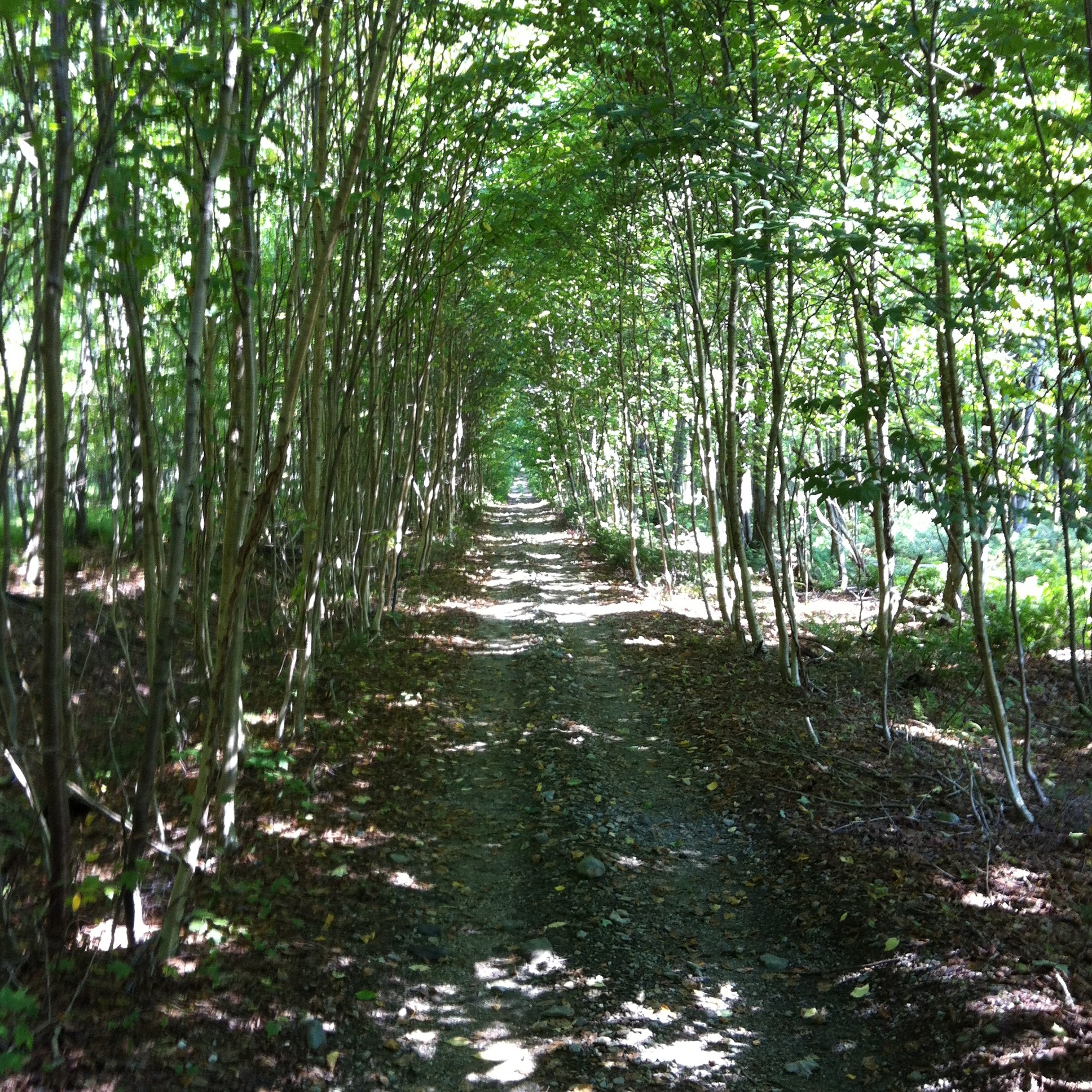 Le Chemin St-Rémi, le Compostelle du Québec - Gîte Les Pignons Quebec